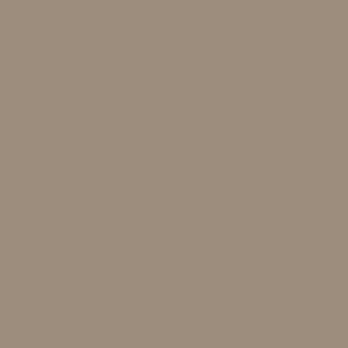 Tavern Taupe - Contemporary - Paint - by Sherwin-Williams