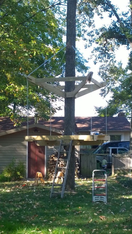 Unique Vine Application - Treehouse Roof | DIY Home Improvement Forum