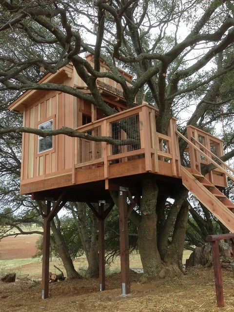 Tree House Build - Rustic - other metro - by Arthur Millworks