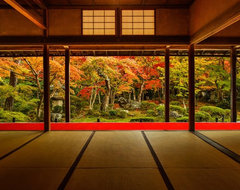 Why We Want a House With a Great View