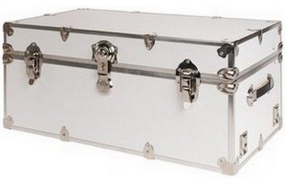 Rhino Armor Trunk Small White - Traditional - Decorative Trunks - by ...