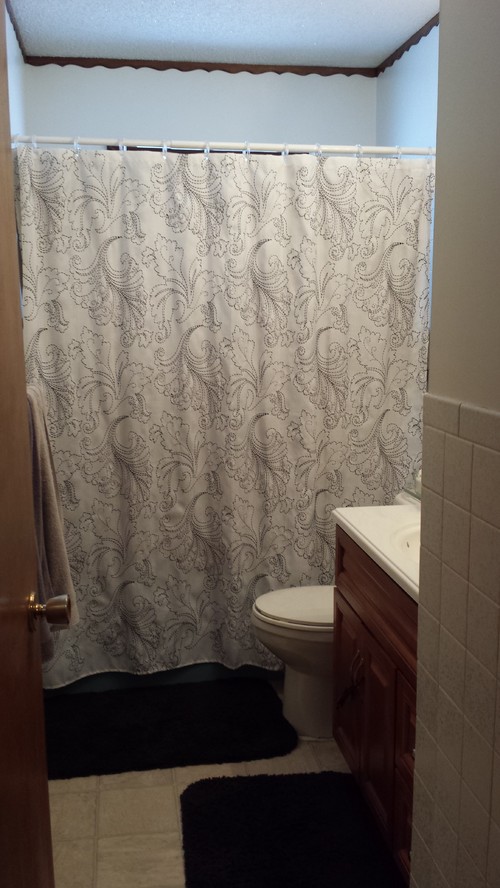 Small Ranch House Bathroom