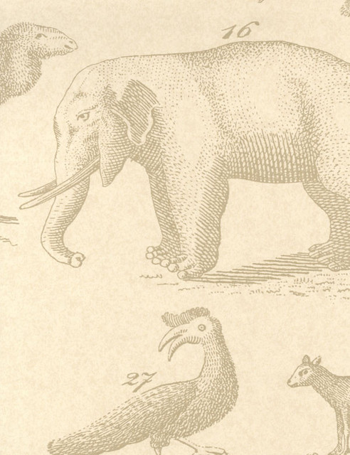 Vintage Animal Wallpaper